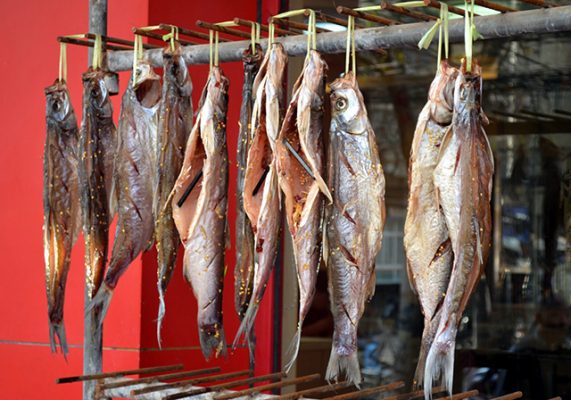 A Brief History Of Food Preservation - The Full Dossier From DehydratorLab