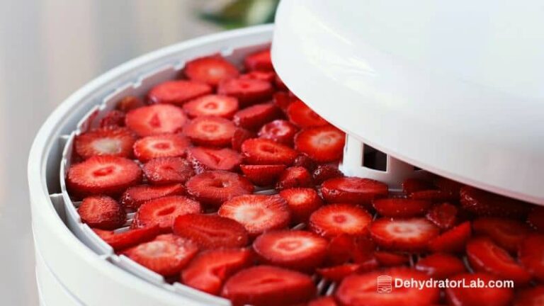 Dehydrating Strawberries: A Delicious and Nutritious Treat!