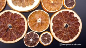 How to Dehydrate Citrus Using a Food Dehydrator in 2025!