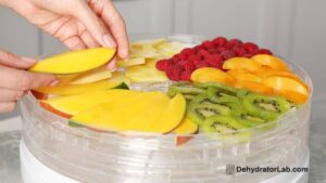 🥭 How to Dehydrate Mango With a Food Dehydrator [EASY Guide]