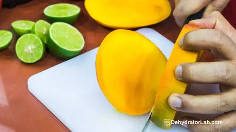🥭 How to Dehydrate Mango With a Food Dehydrator [EASY Guide]