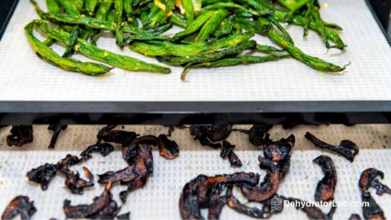 Can You Over Dehydrate Food? Is Over Drying an Issue?