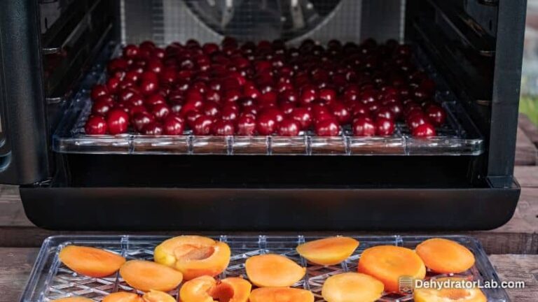Dehydrate Cherries in a Dehydrator: Step‑by‑Step